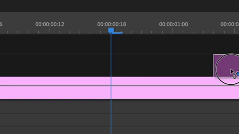 Content Creator Templates